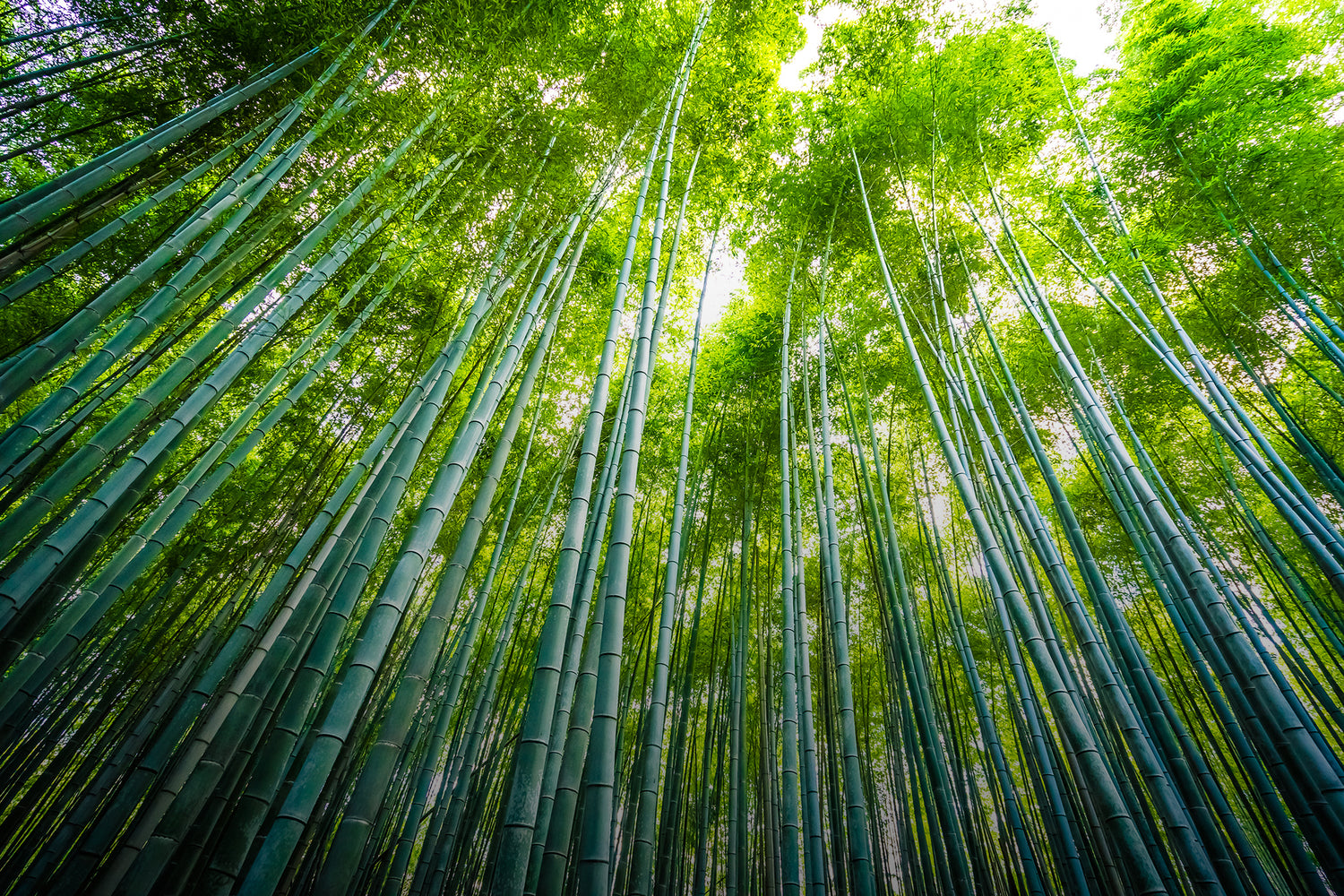 Sustainability – ecoHiny